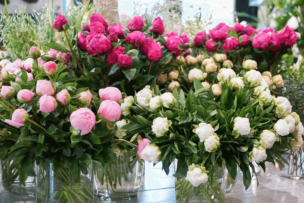 Fleurs fraîches à Caen – Bouquets de saison artisanaux | Rouge Pivoine ...
